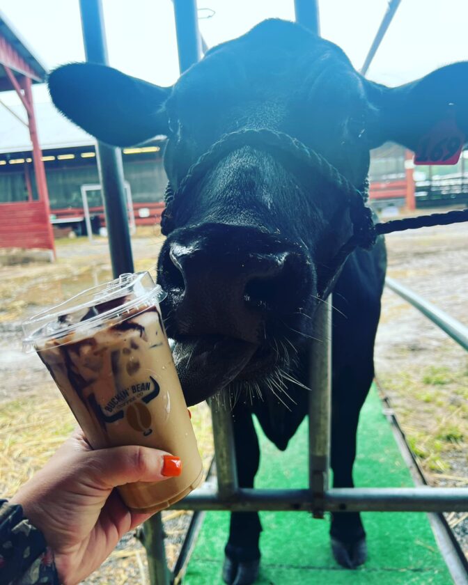 Taste the Town: Buckin’ Bean coffee travels across the area to bring ...